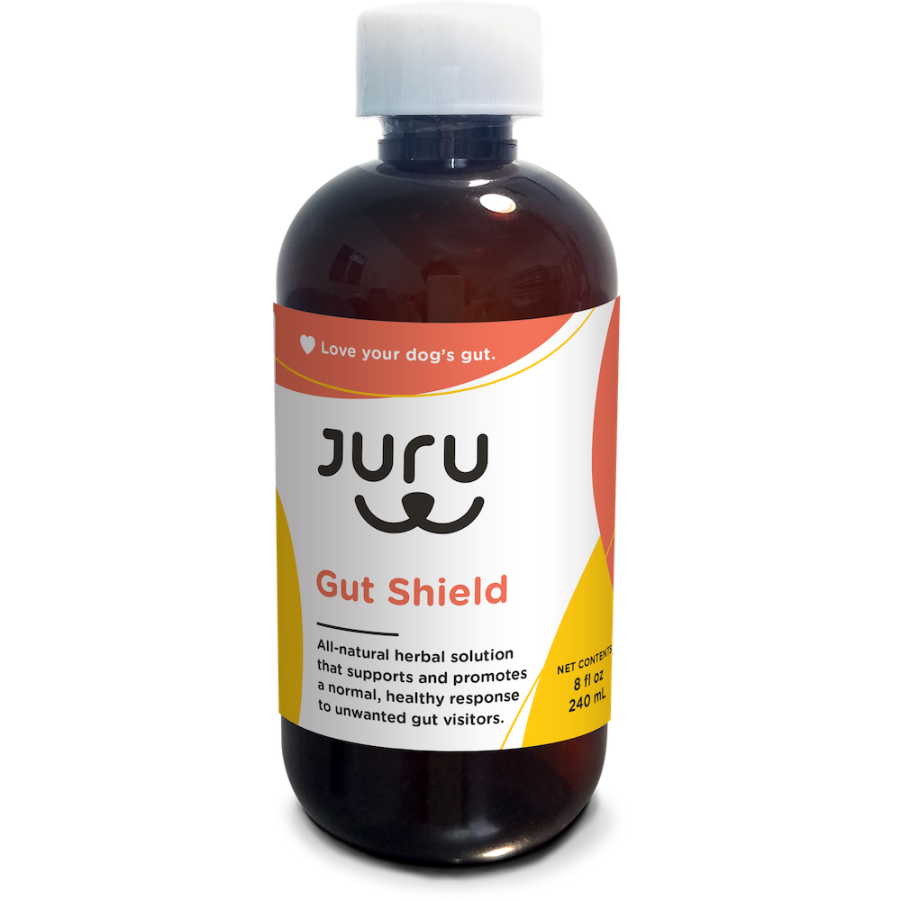 Juru – Digestive Support for Your Dog